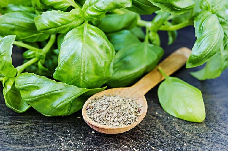 15 Best Basil Substitute Options - Flavorful Home