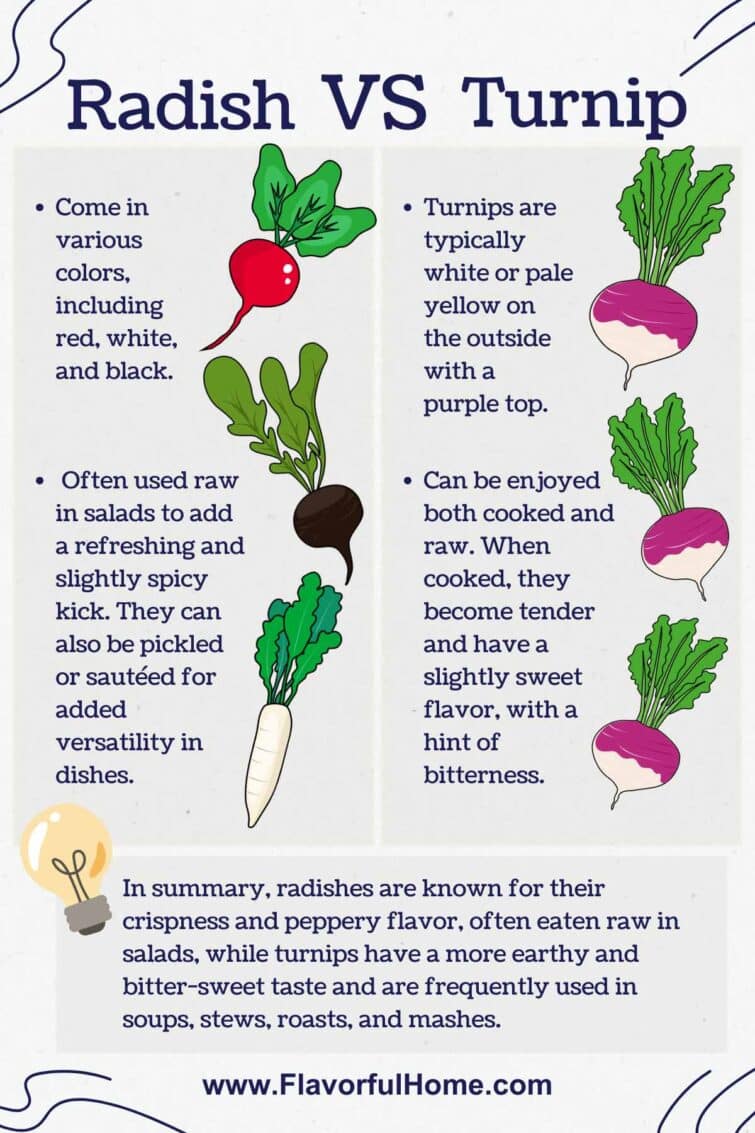 Turnip vs. radish (Know The Difference) - Flavorful Home