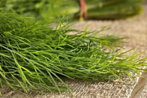 What Does Dill Taste Like? Should You Give It A Try? - Flavorful Home