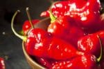 Ghost Pepper (Facts About This Fiery Ingredient). - Flavorful Home