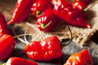 Ghost Pepper (Facts About This Fiery Ingredient). - Flavorful Home