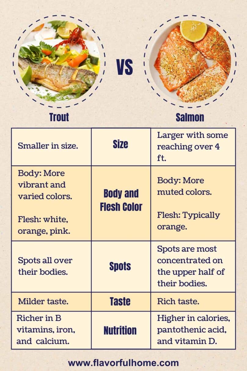 Trout Vs. Salmon: How Do They Differ? - Flavorful Home