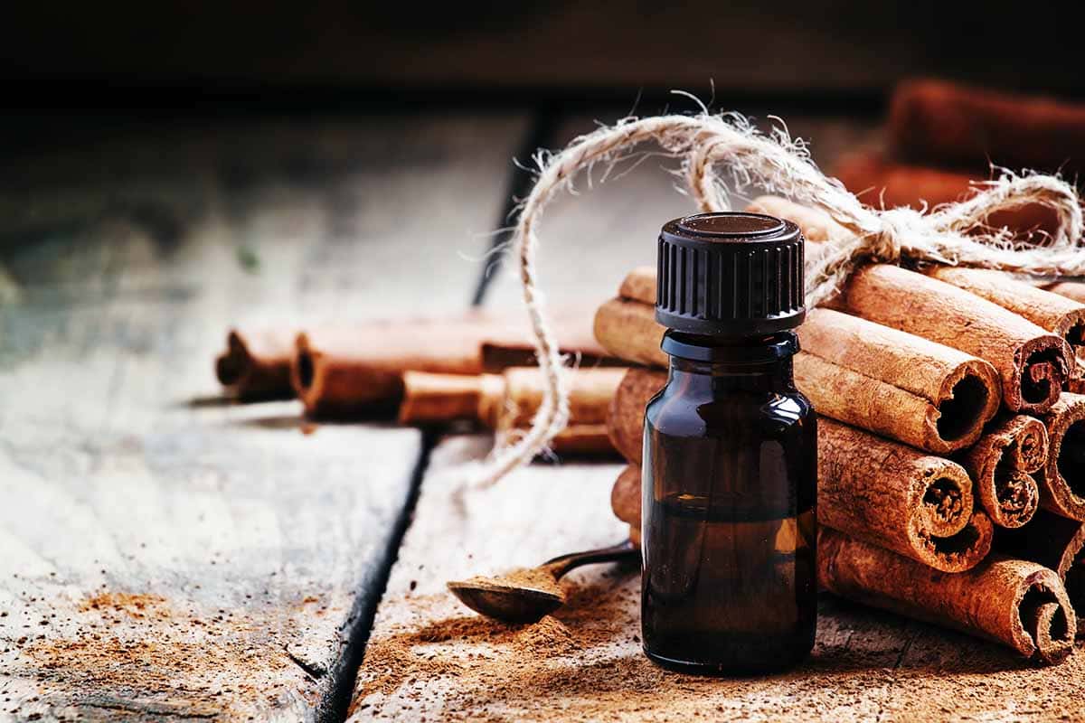Best Cinnamon Substitute (10+ Alternative Ingredients) - Flavorful Home