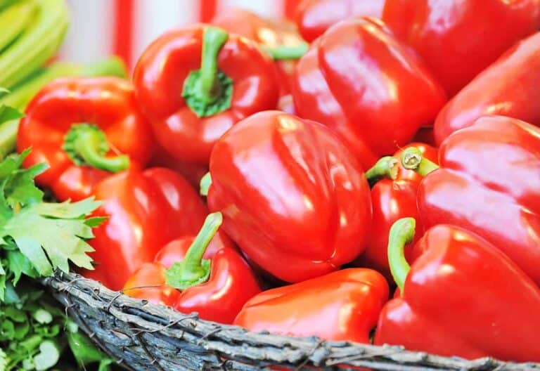 What are Pimentos? Guide to this pepper. - Flavorful Home