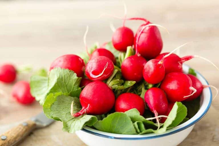 What does a radish taste like? - Flavorful Home